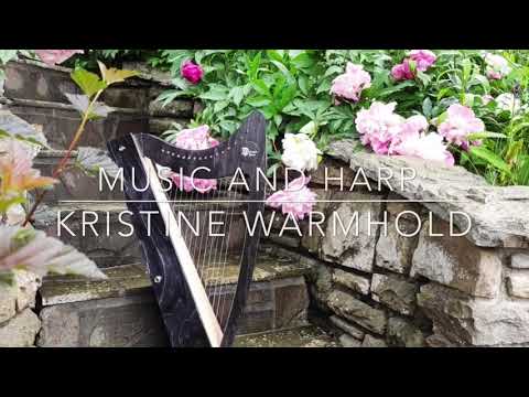 Derwent Harps made in Wales plus Aoyama, Harfenland and Mikel.