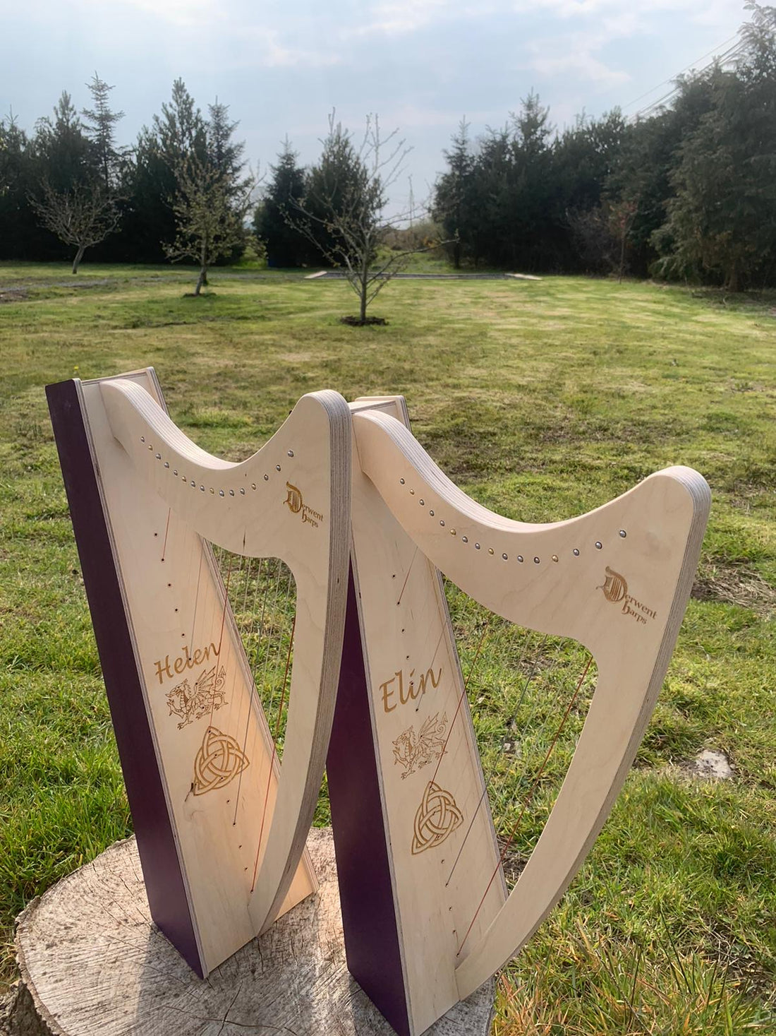 Derwent Harps made in Wales plus Aoyama, Harfenland and Mikel.