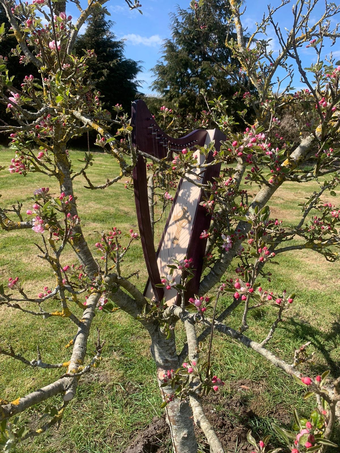 Derwent Harps - Affordable Harps Hand Made in Great Britain